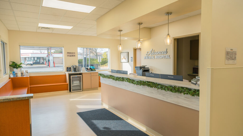Hospital Tour | Advanced Animal Hospital Wisconsin in Greenfield, WI